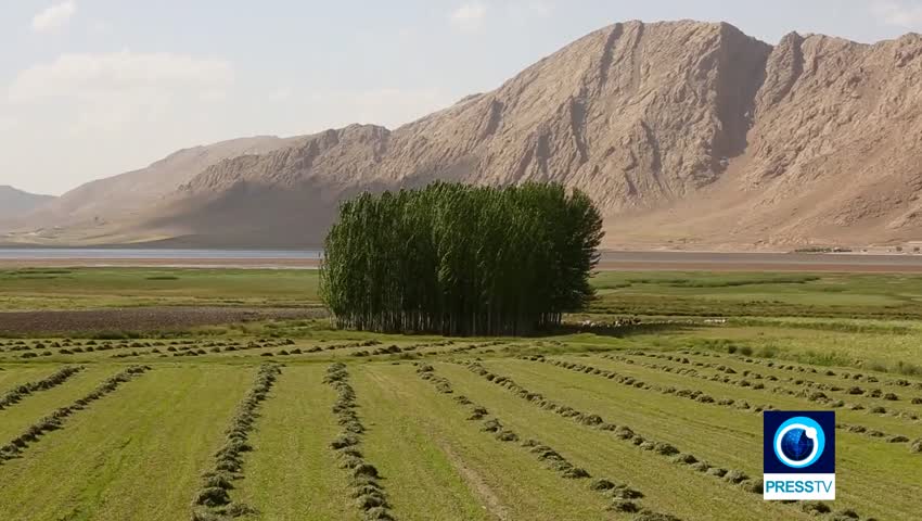 An Insider’s view of country: Boroujen, Lordegan and Patinah art